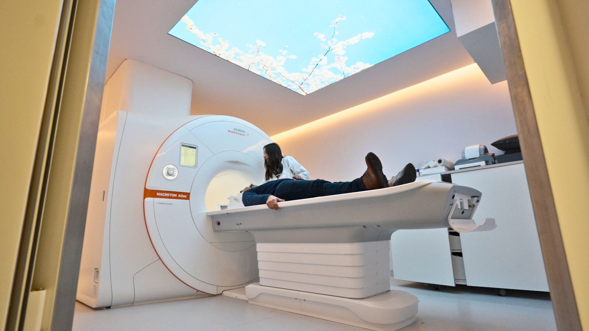 Διαγνωστικό Εργαστήριο Ιπποκράτης